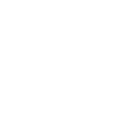 The Boss Barbers